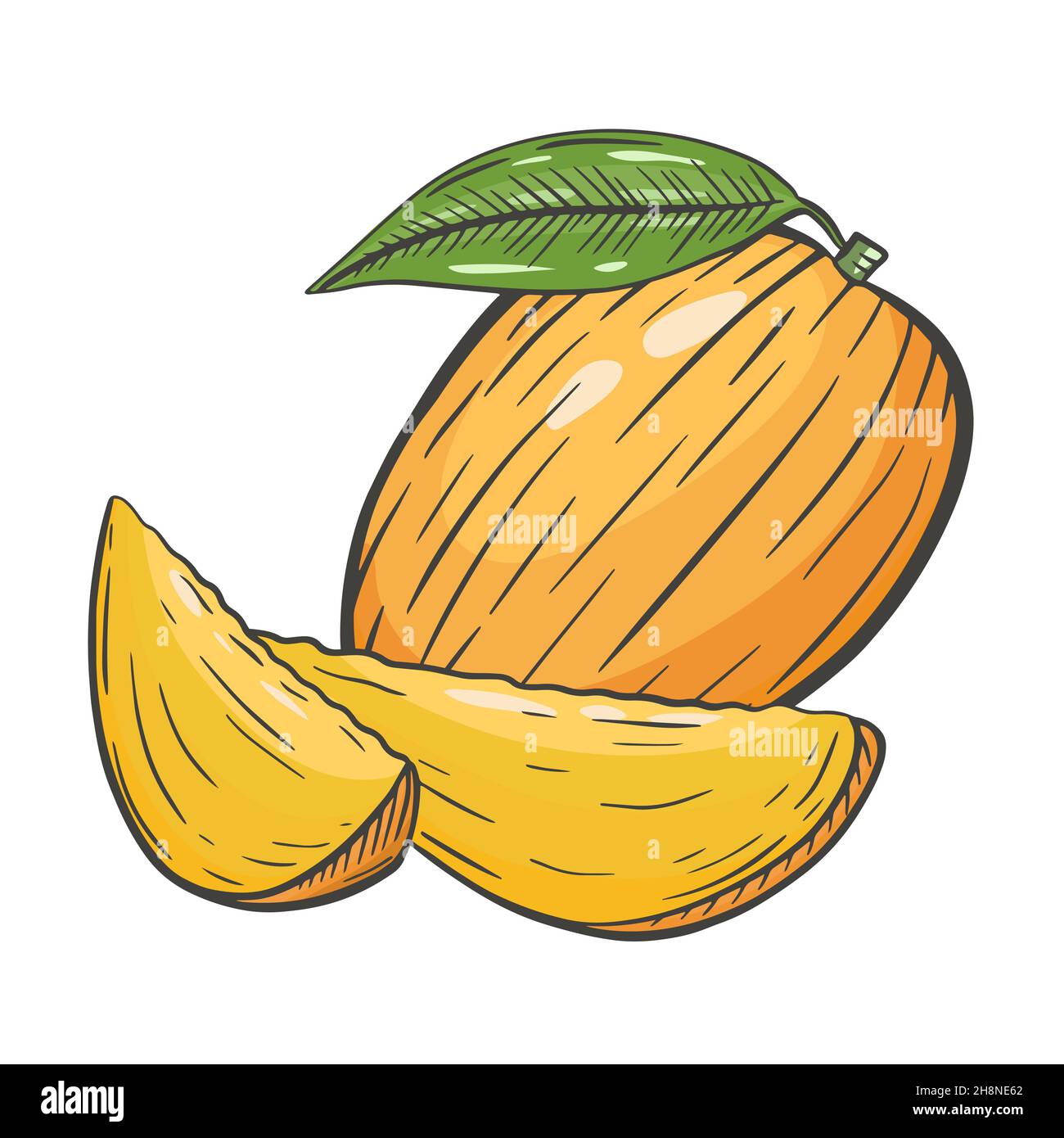 Whole and slices of mango isolated object. Tropical exotic fruit slices ...