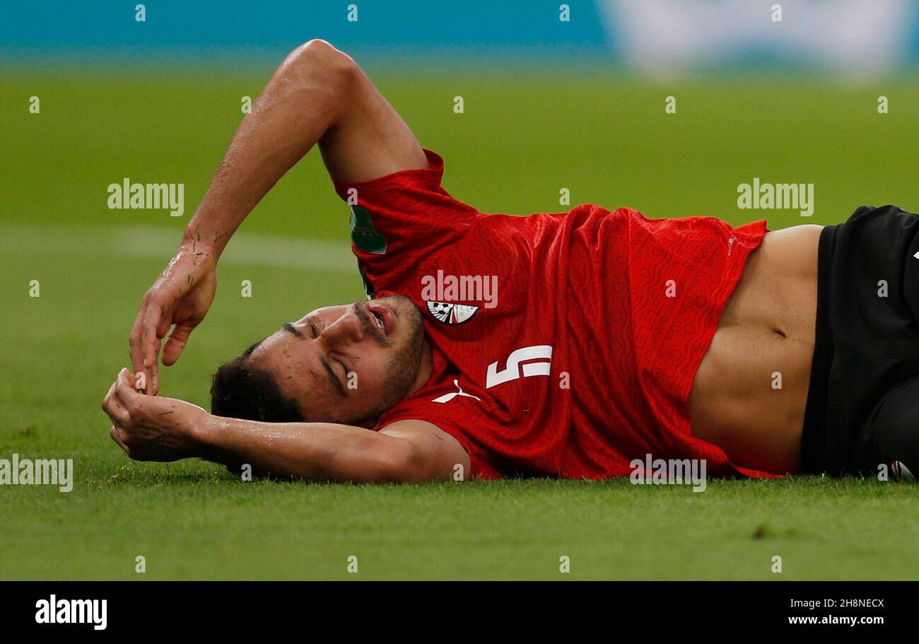 Hamdy fathy hi-res stock photography and images - Alamy