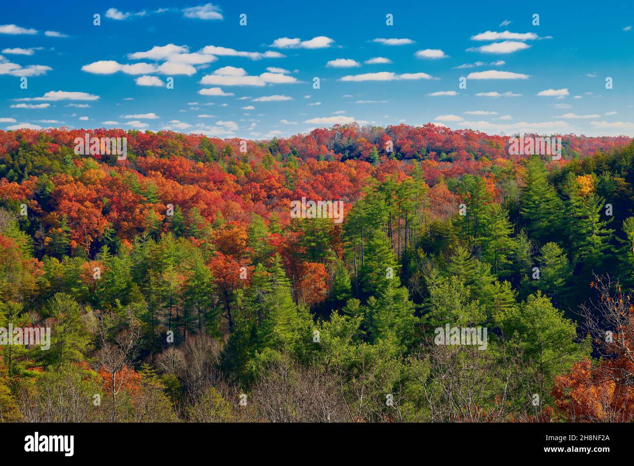 Beautiful fall colors at Red River Gorge, KY Stock Photo - Alamy