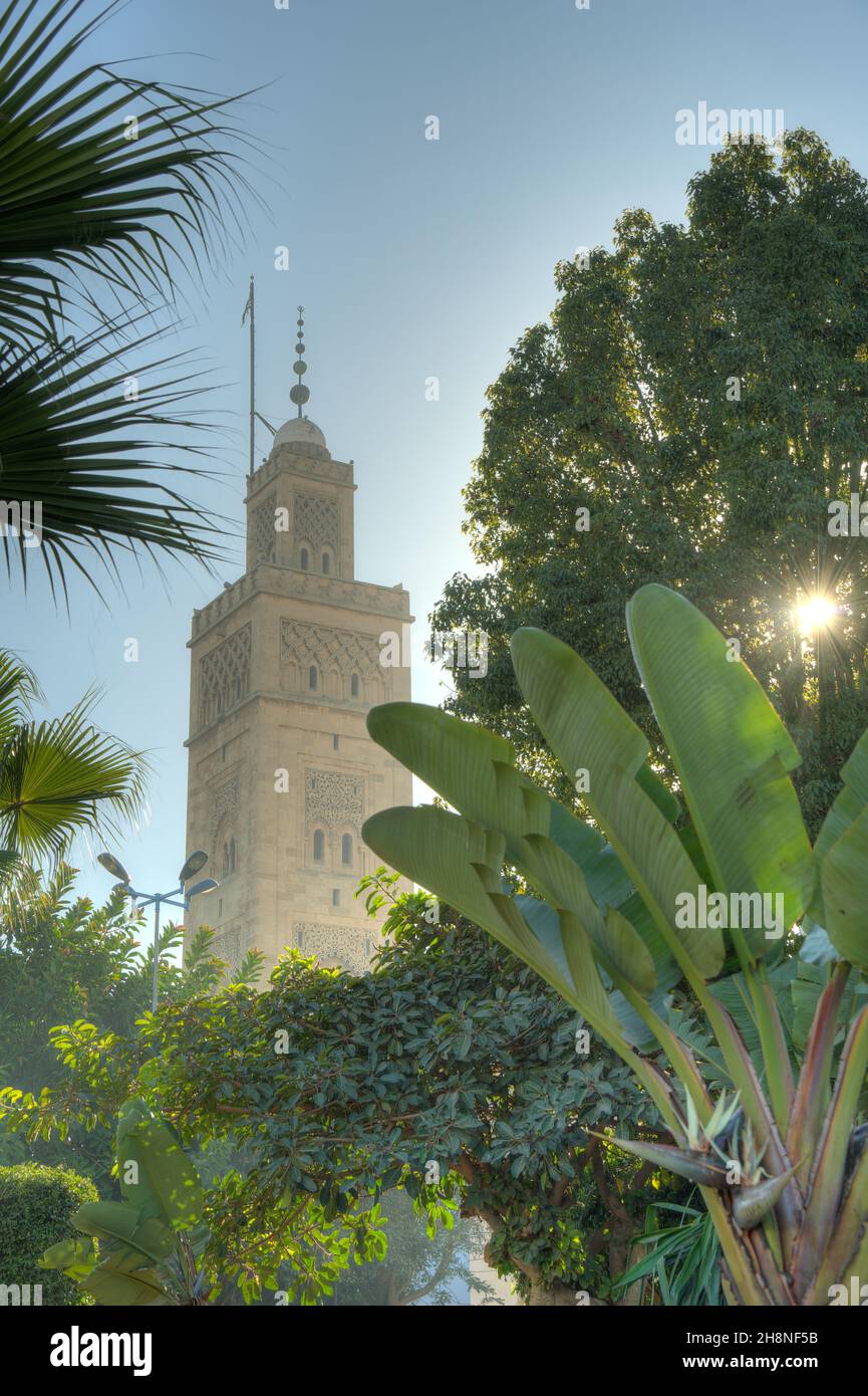 Houbous High Resolution Stock Photography and Images - Alamy