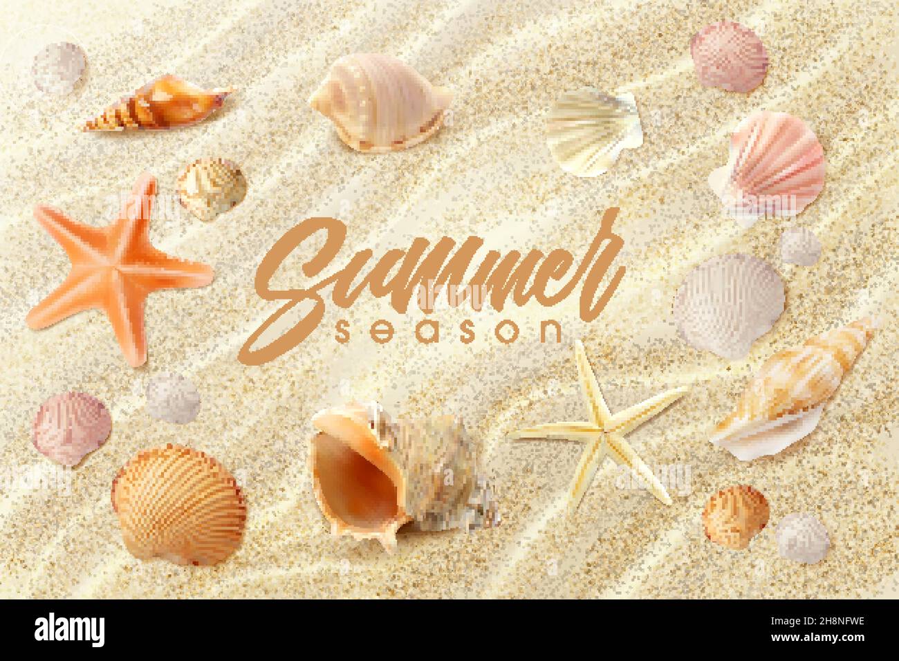 Scallop shell on sandy beach Stock Vector Images - Alamy