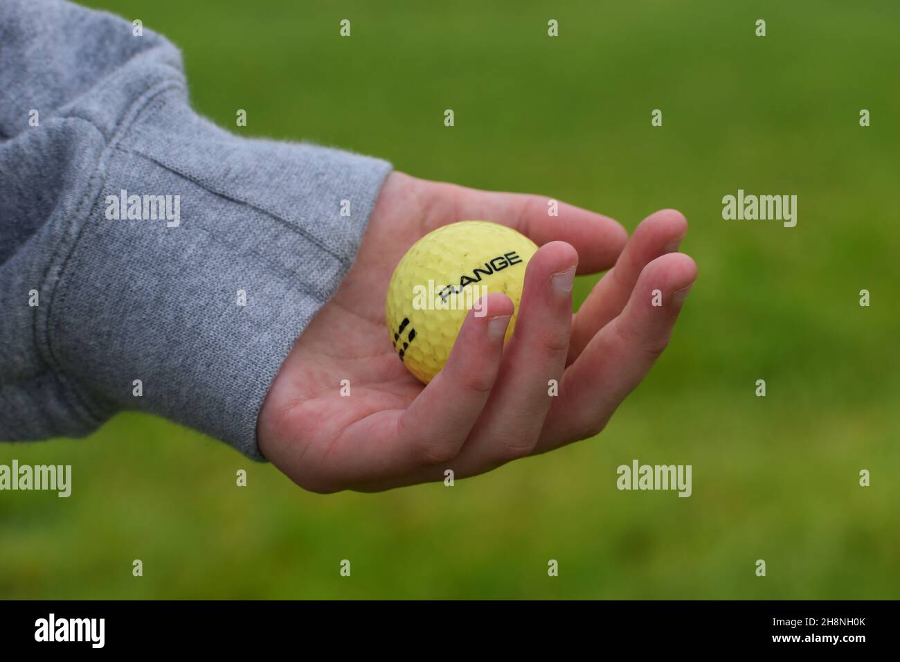 Closeup shot of a golf ball in the hand Stock Photo - Alamy
