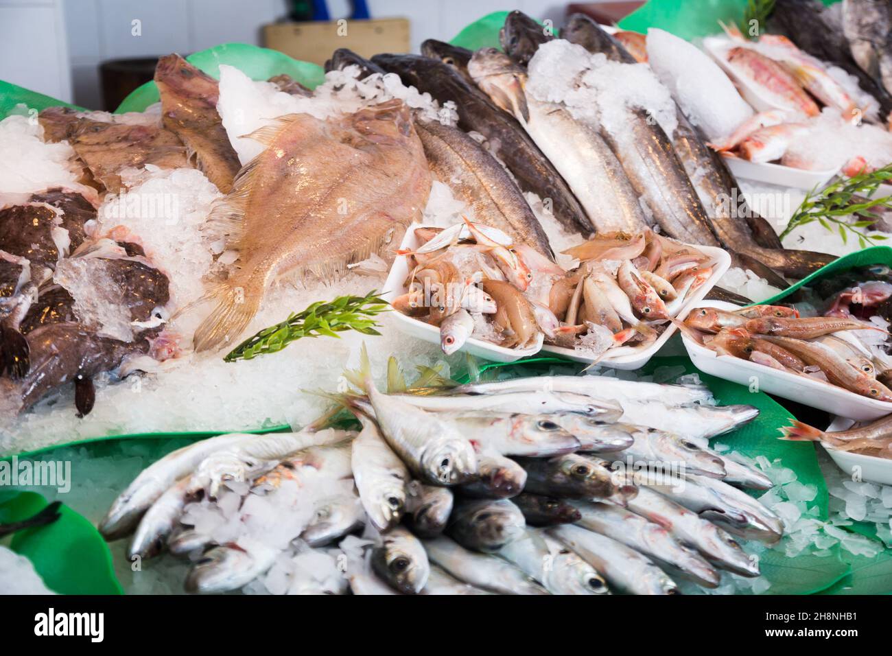 fish on fish market Stock Photo - Alamy