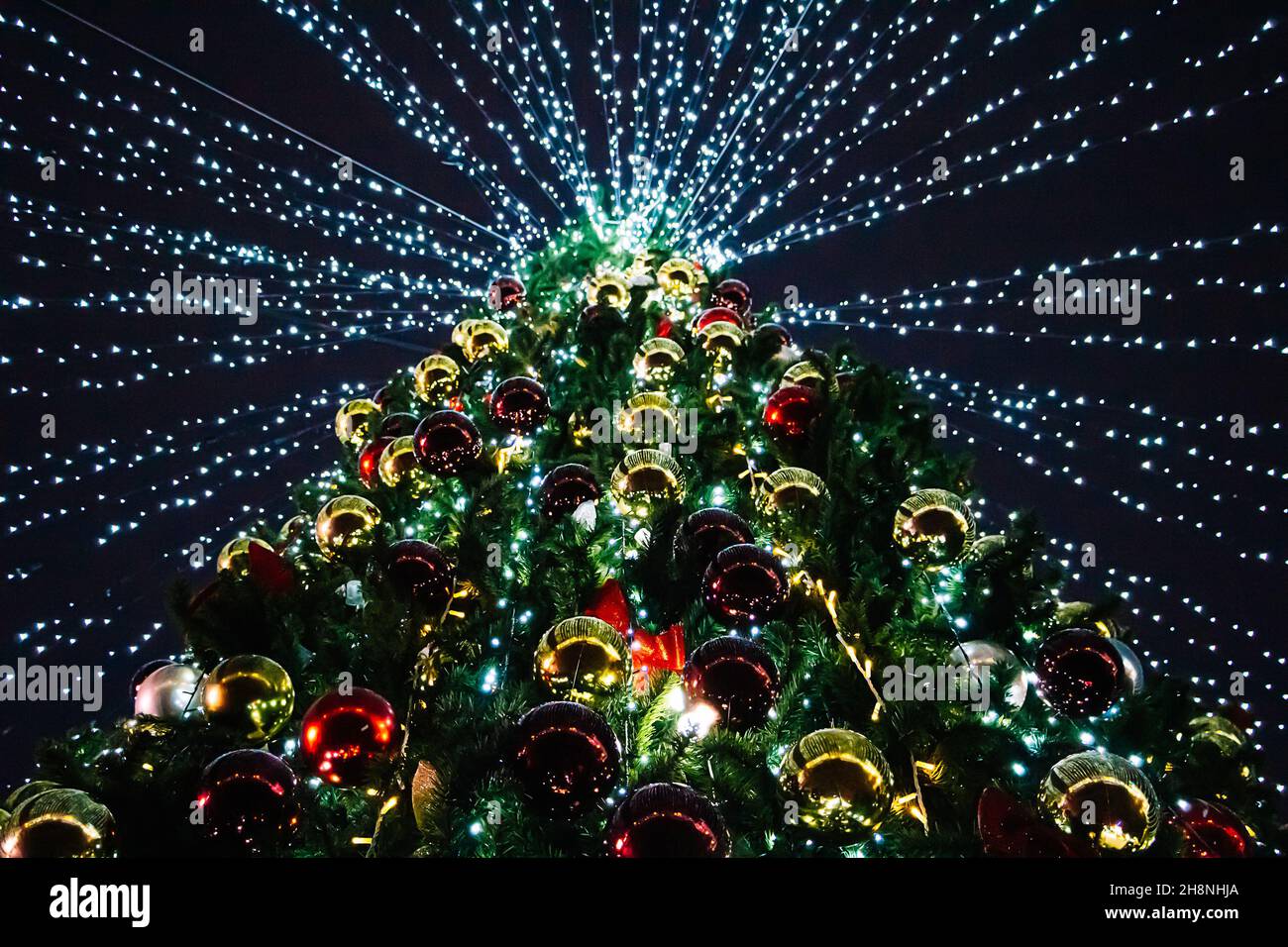 Bottom of christmas tree hi-res stock photography and images - Alamy