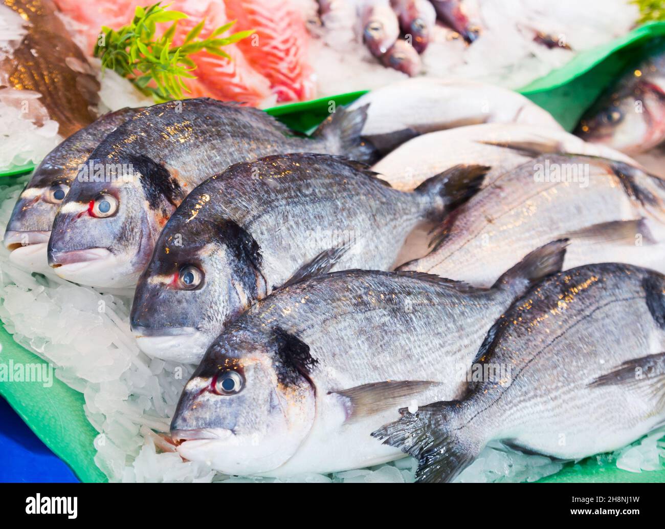 Counter sea hi-res stock photography and images - Alamy