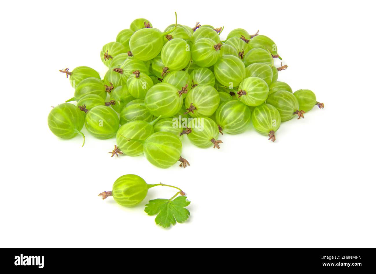 Green gooseberry fruit closeup isolated on white background Stock Photo ...
