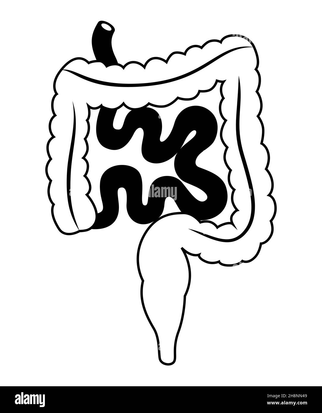 Illustration of intestines internal organ. Human body anatomy. Health ...