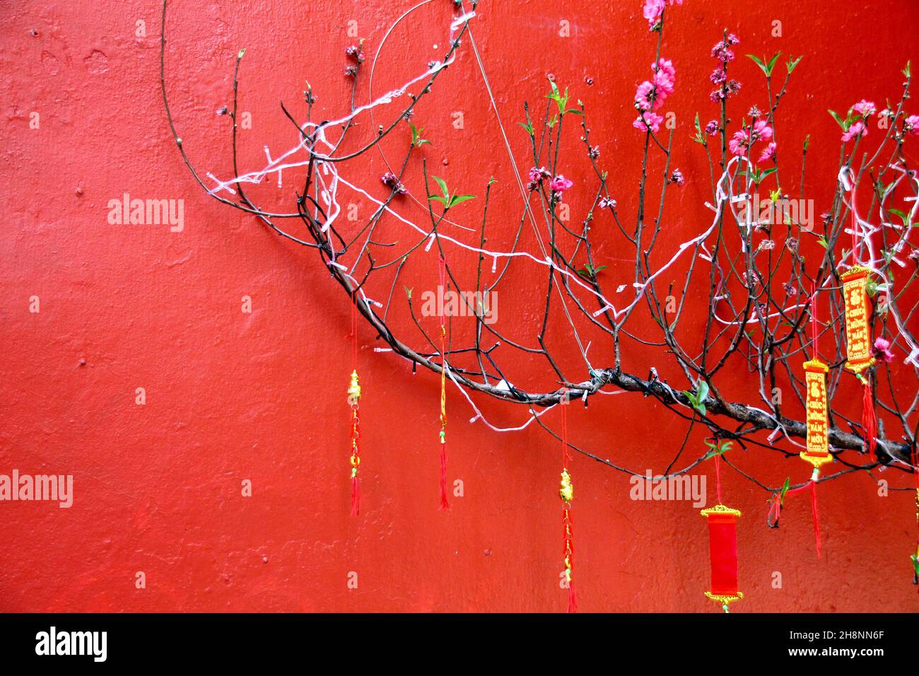 Tet Festival Background Stock Photo - Alamy