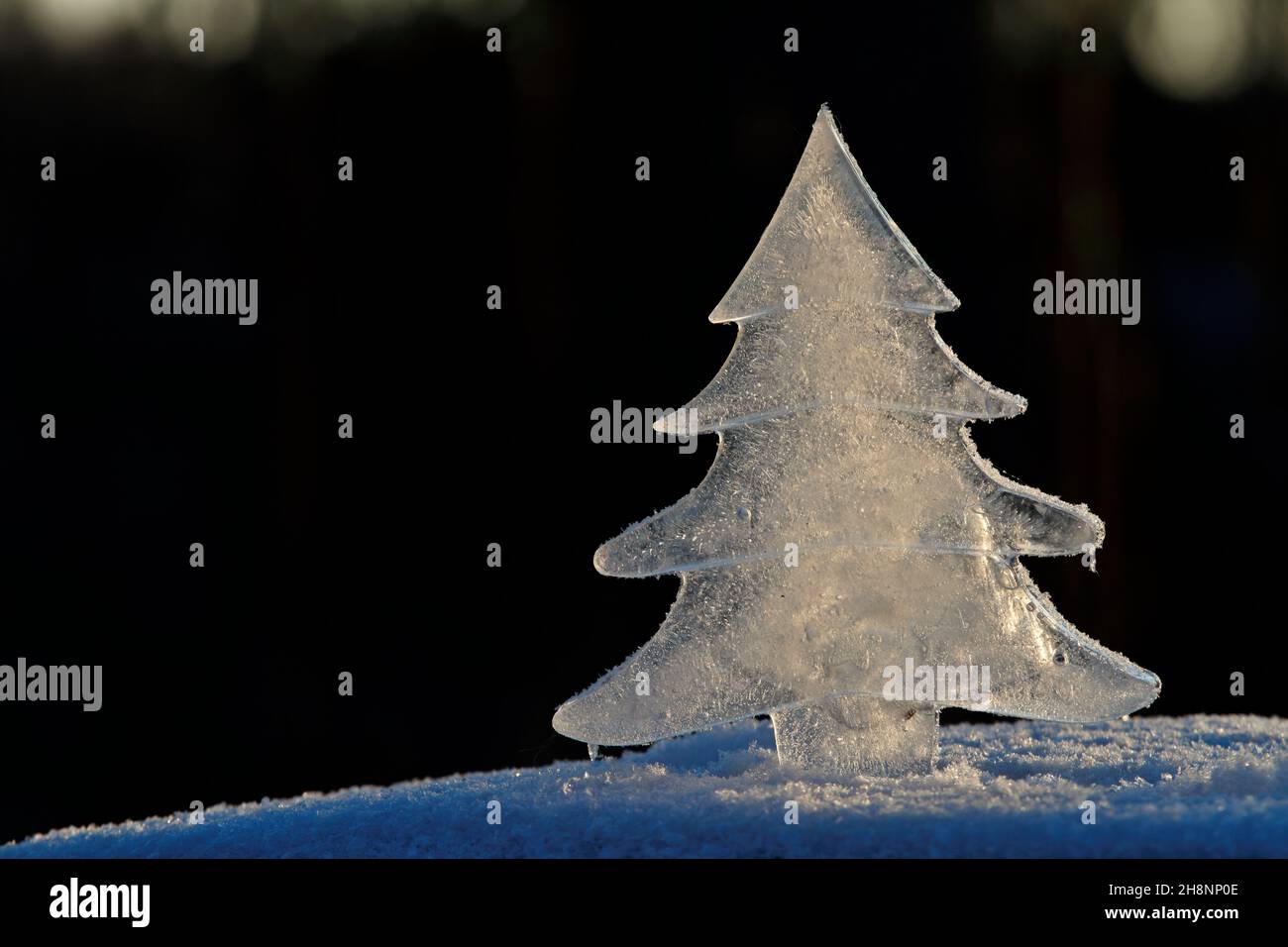 An icy christmas tree in snow with dark background Stock Photo - Alamy