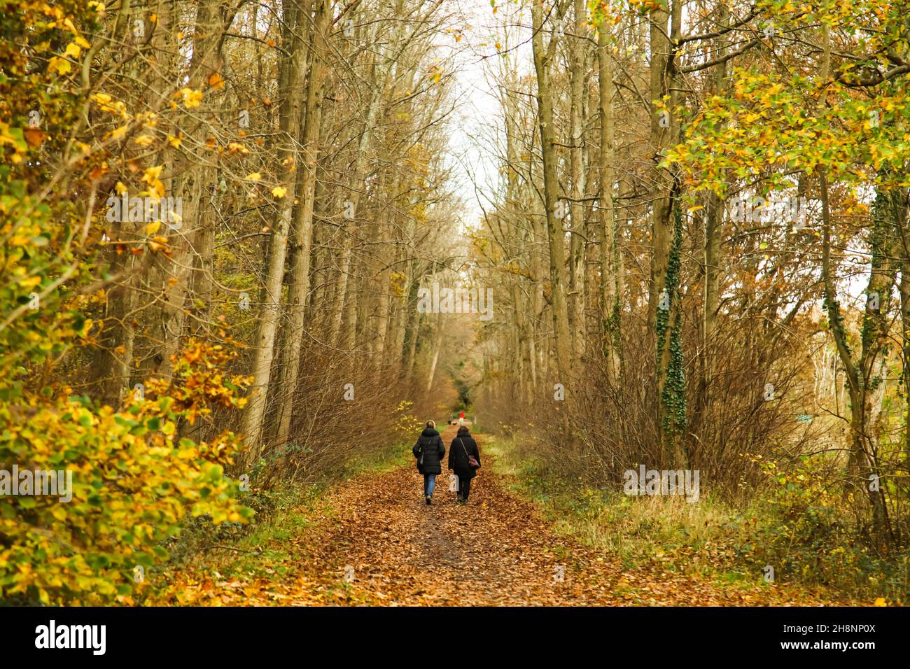 Two 2 couple ladies hi-res stock photography and images - Alamy