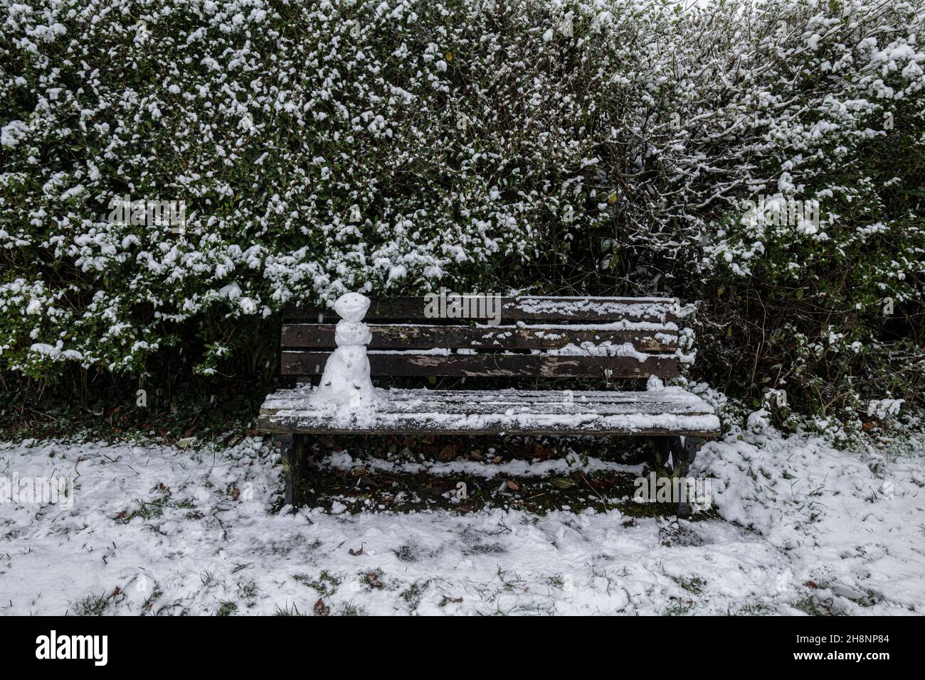 A mini snowman on a park bench, Brungerley Park, Clitheroe, Ribble ...