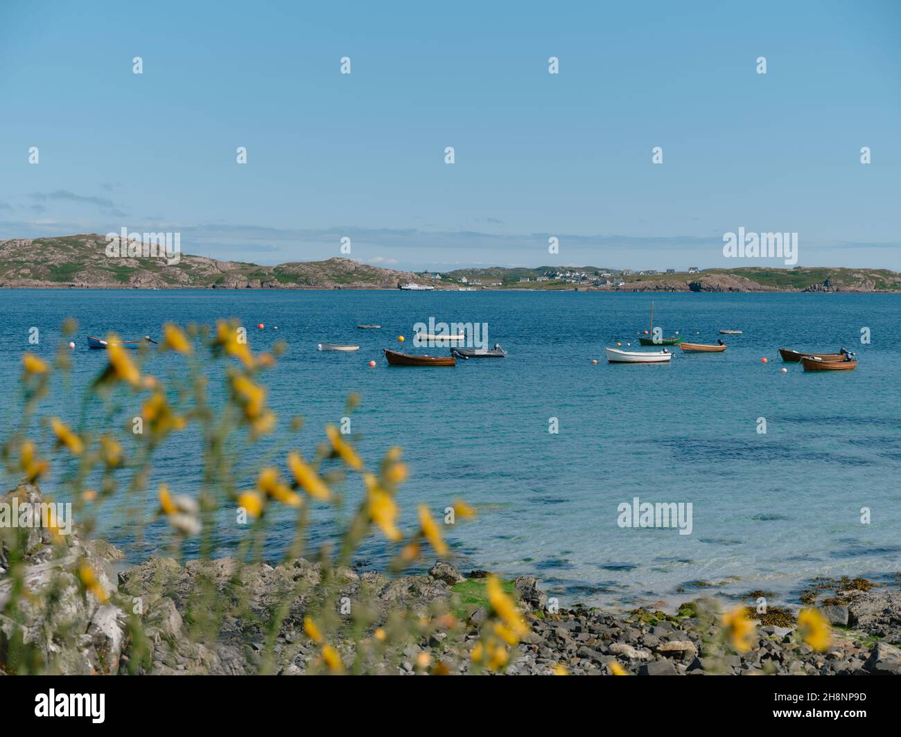 The summer coastline landscape of the Isle of Iona in the Inner ...