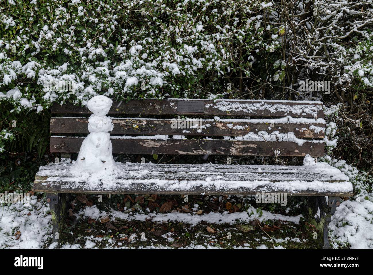 A mini snowman on a park bench, Brungerley Park, Clitheroe, Ribble ...
