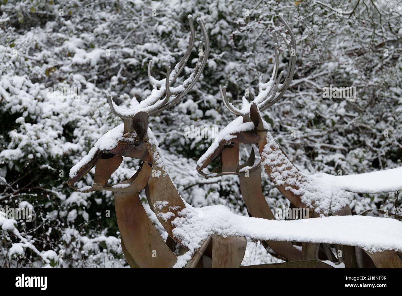 Ribble Valley, Lancashire, UK Stock Photo - Alamy