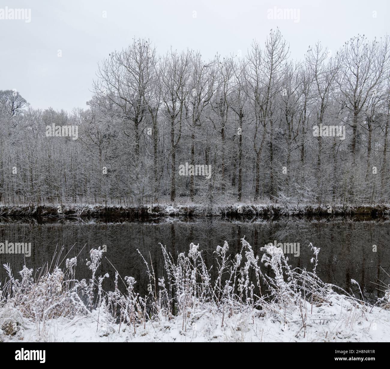 River Ribble at Waddow, Clitheroe, Ribble Valley, Lancashire, UK Stock ...