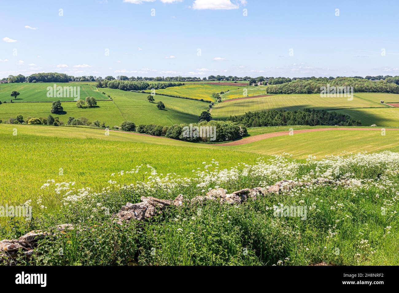 A typical rolling Cotswold landscape near Turkdean, Gloucestershire UK ...