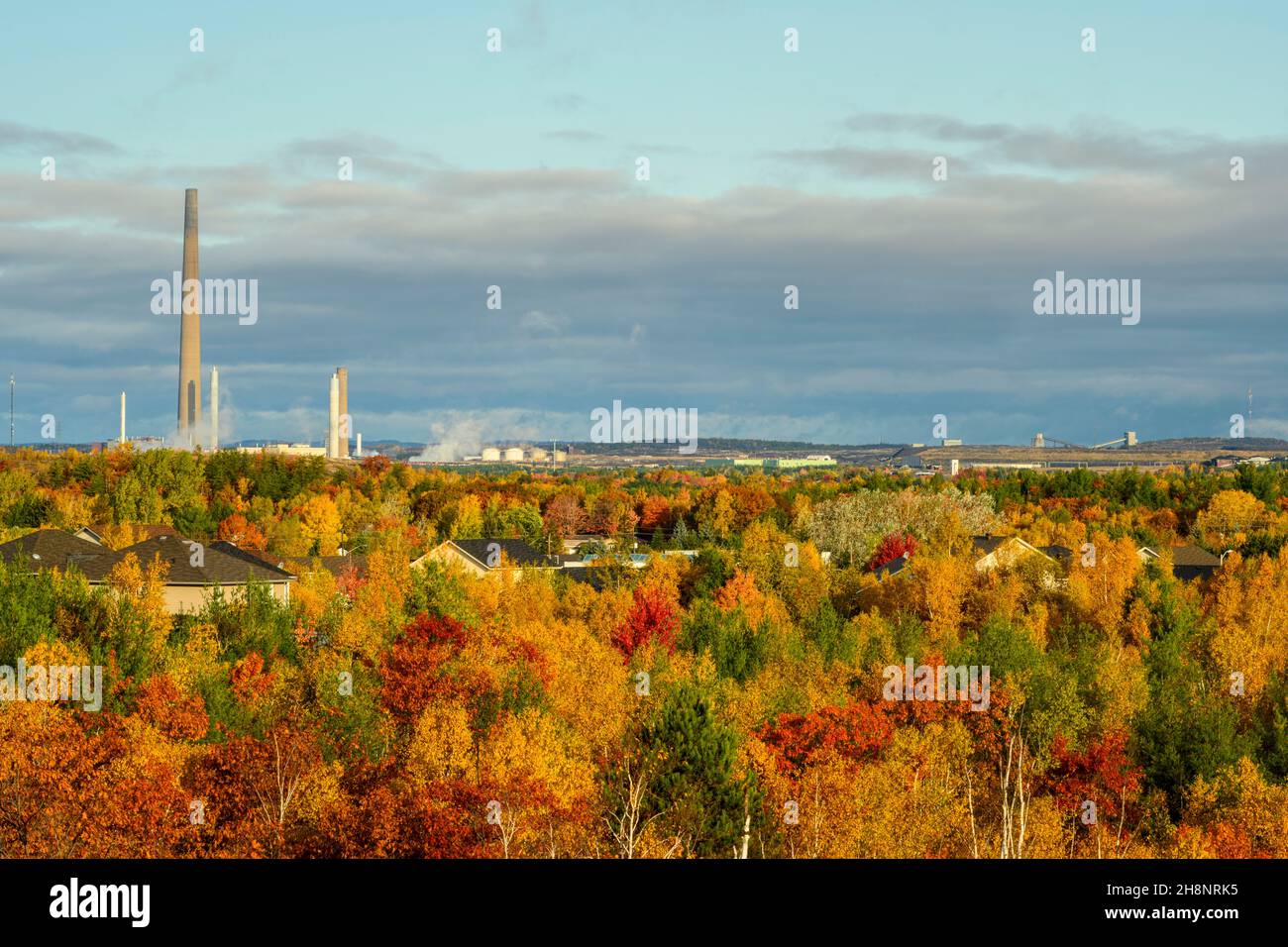 Biodiversity in the Sudbury Basin- Residential buildings and the Vale Superstack, Greater ...