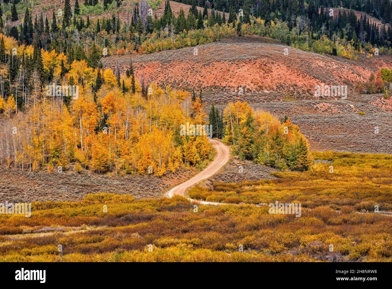 Big rocky fork hi-res stock photography and images - Alamy