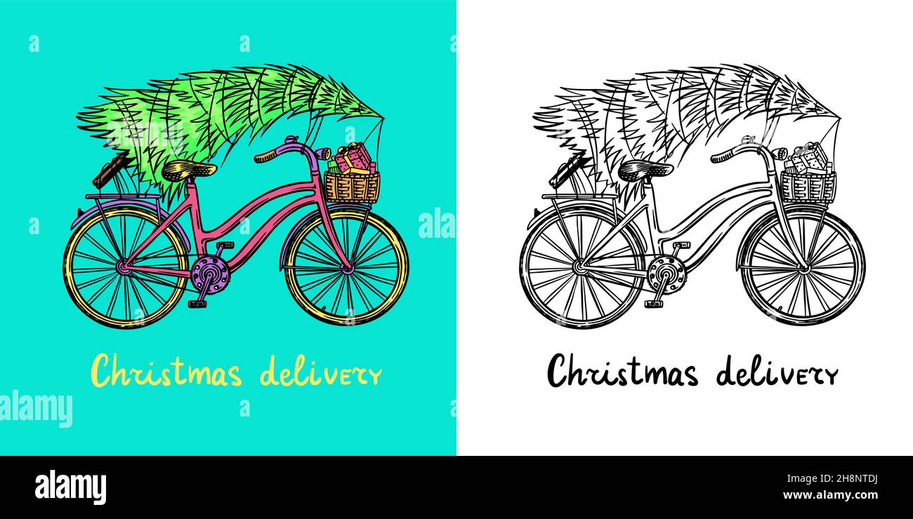 Bicycle with a Christmas tree. Spruce in the luggage of the bike ...