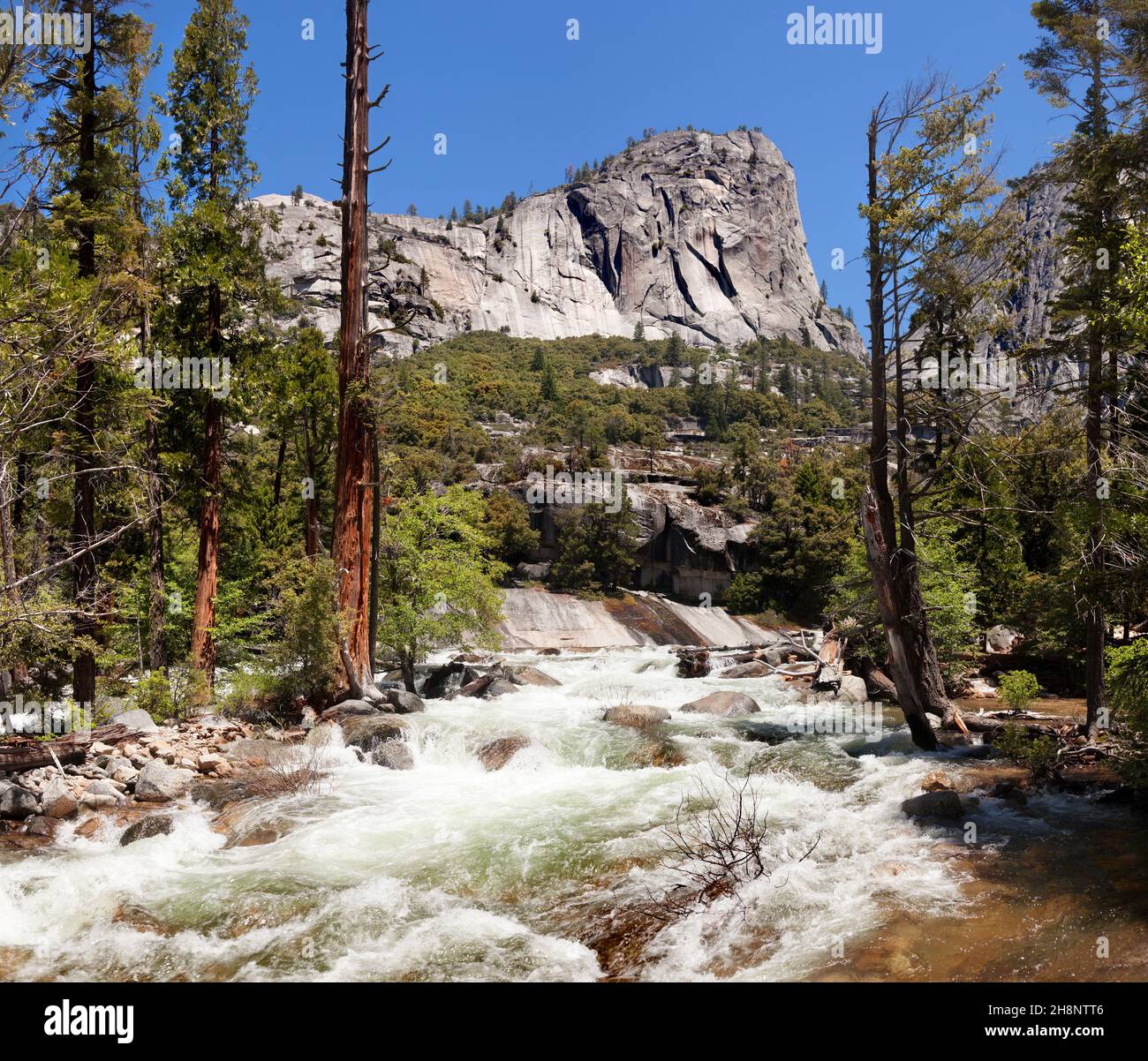 Vernal scene hi-res stock photography and images - Alamy