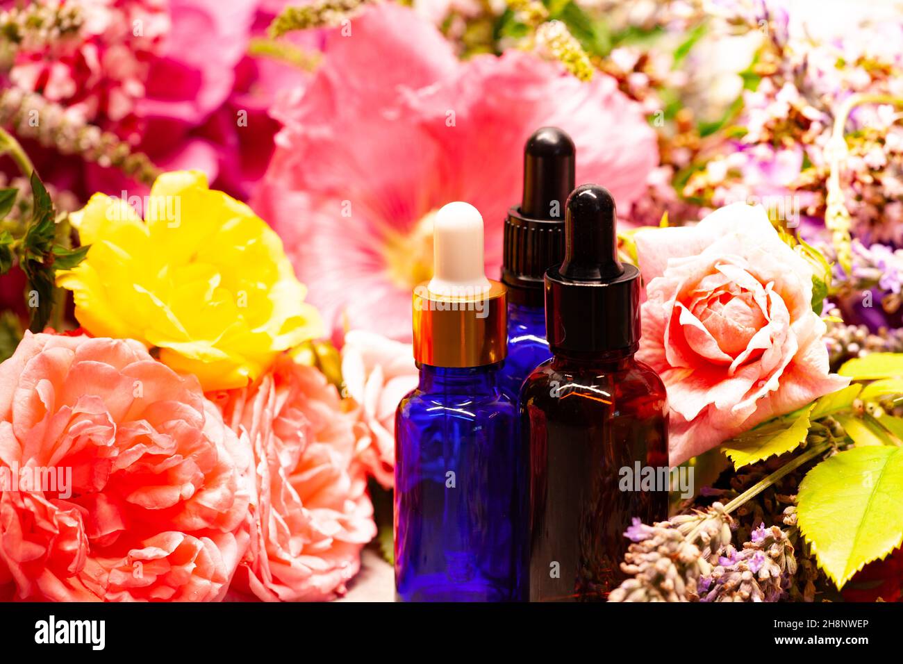 flowers and bottles of essential oils for aromatherapy Stock Photo - Alamy