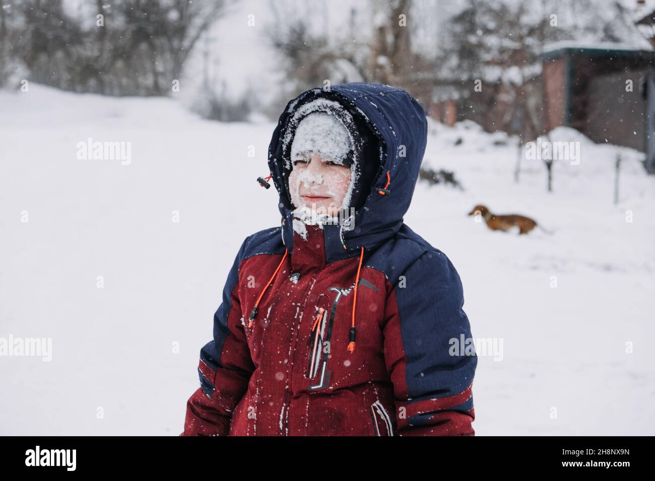 Stop Kids from Eating Snow. Outdoor winter portrait of preschooler boy ...