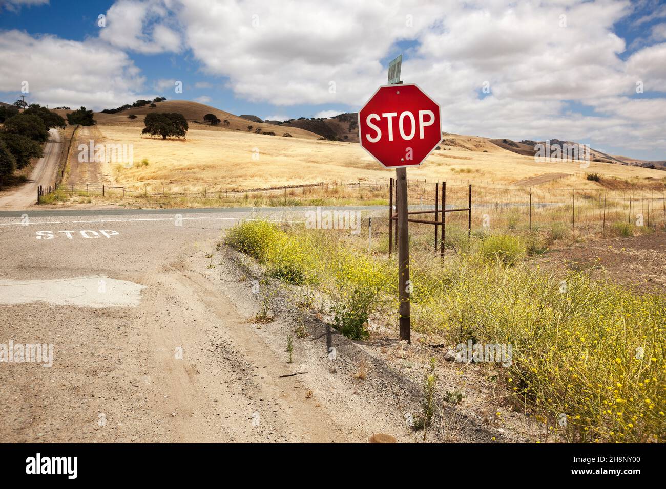 Stop sign in a road of California Stock Photo - Alamy