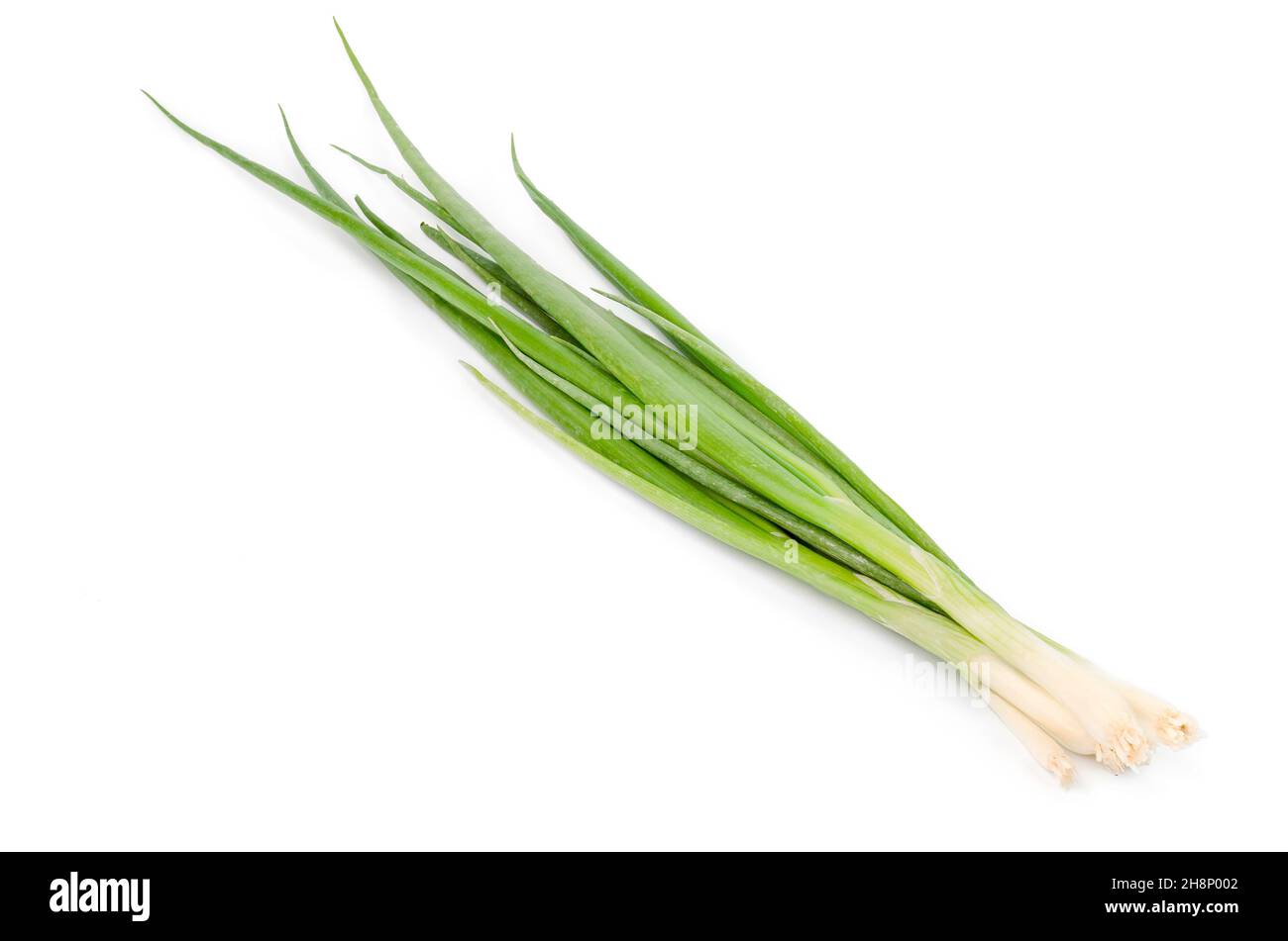 Green onion isolated on the white background Stock Photo - Alamy