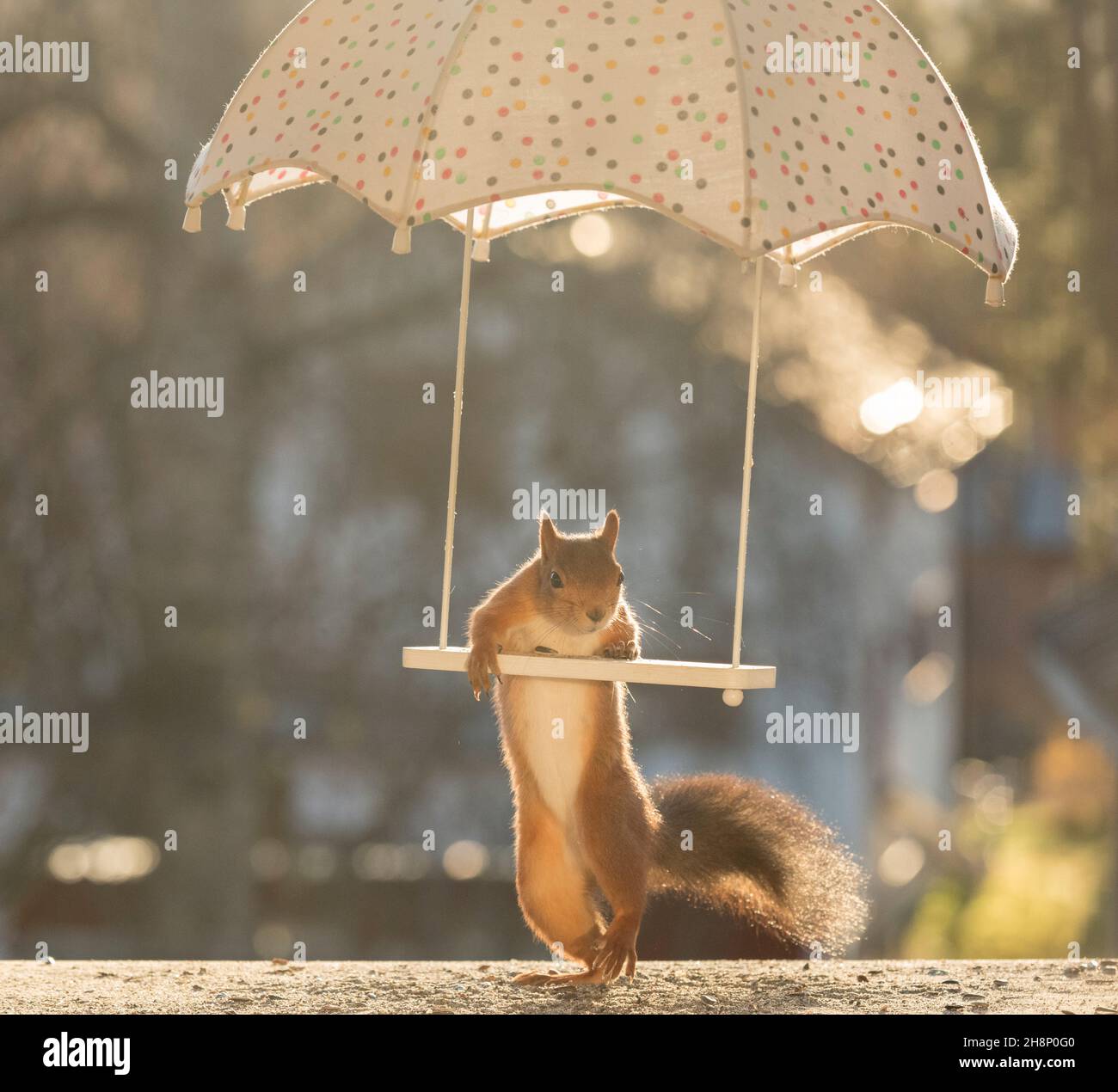 Funny parasol hi-res stock photography and images - Alamy