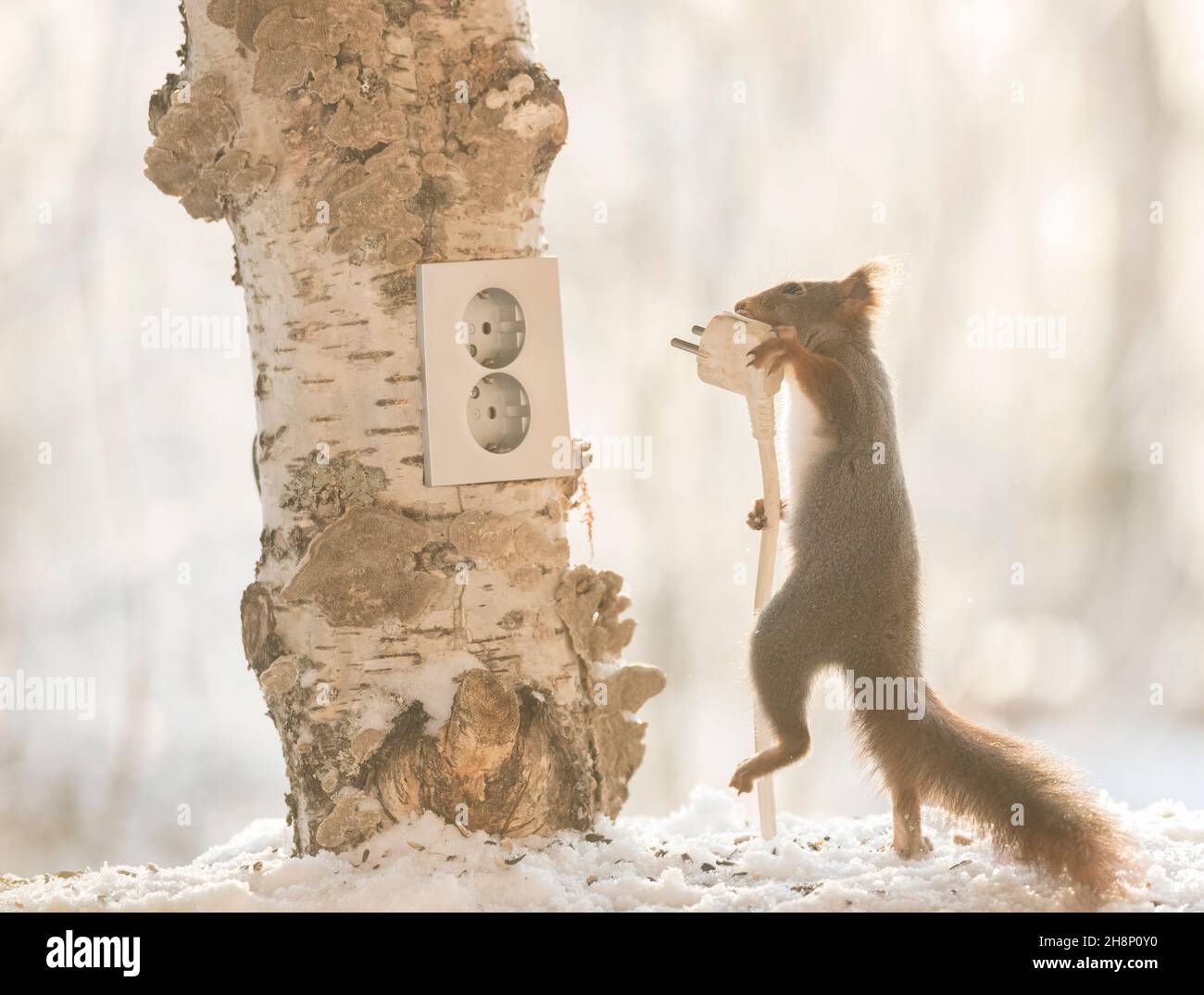 Nose stopper hi-res stock photography and images - Alamy