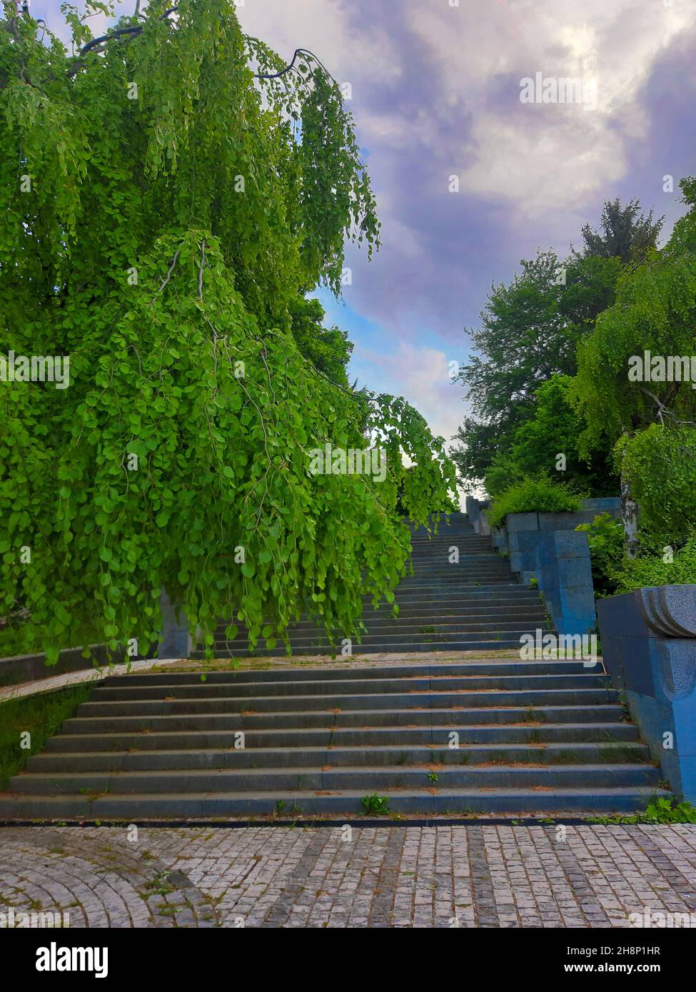 Stairs lead to the park Stock Photo - Alamy