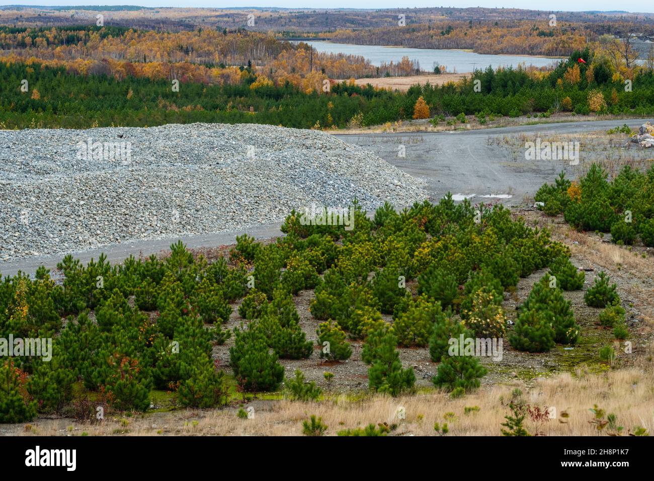 Re-greening mining waste sites at Glencore, Greater Sudbury ...