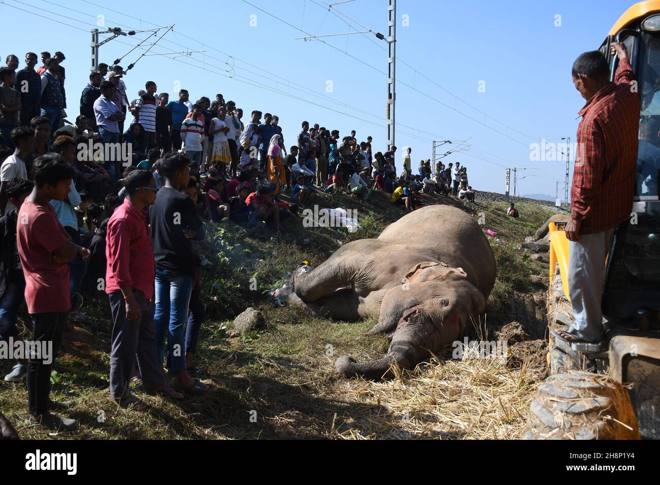 Northeast frontier railway hi-res stock photography and images - Alamy