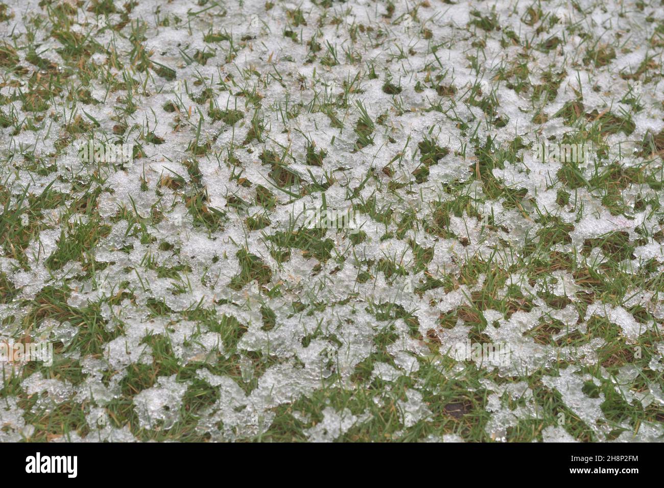 Layers of frosty grass hi-res stock photography and images - Alamy