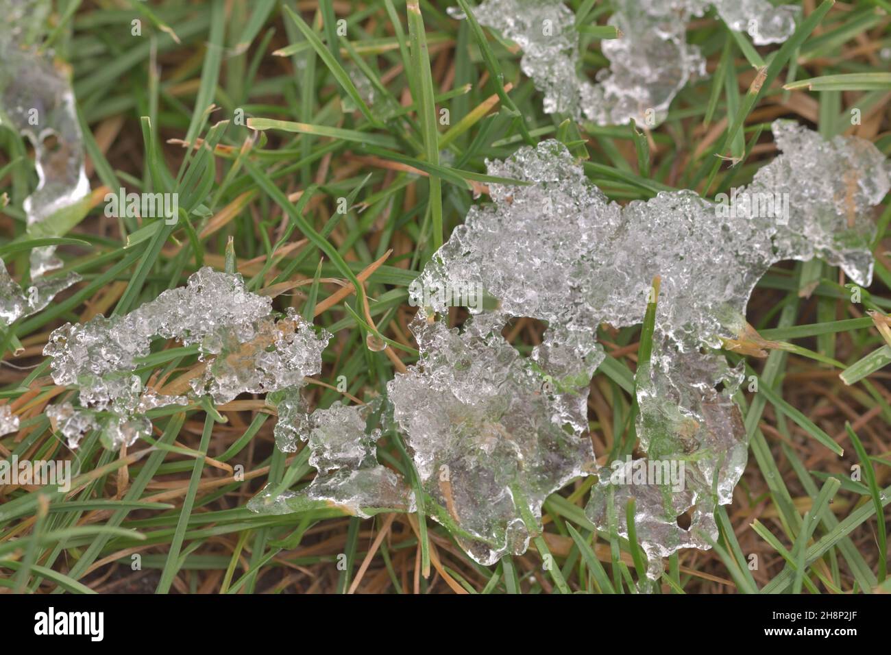 Green grass under ice and snow on a cloudy autumn day. Winter Stock ...