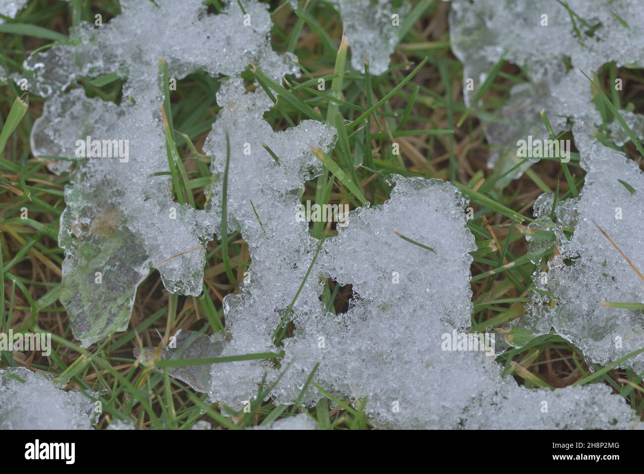 Layers of frosty grass hi-res stock photography and images - Alamy