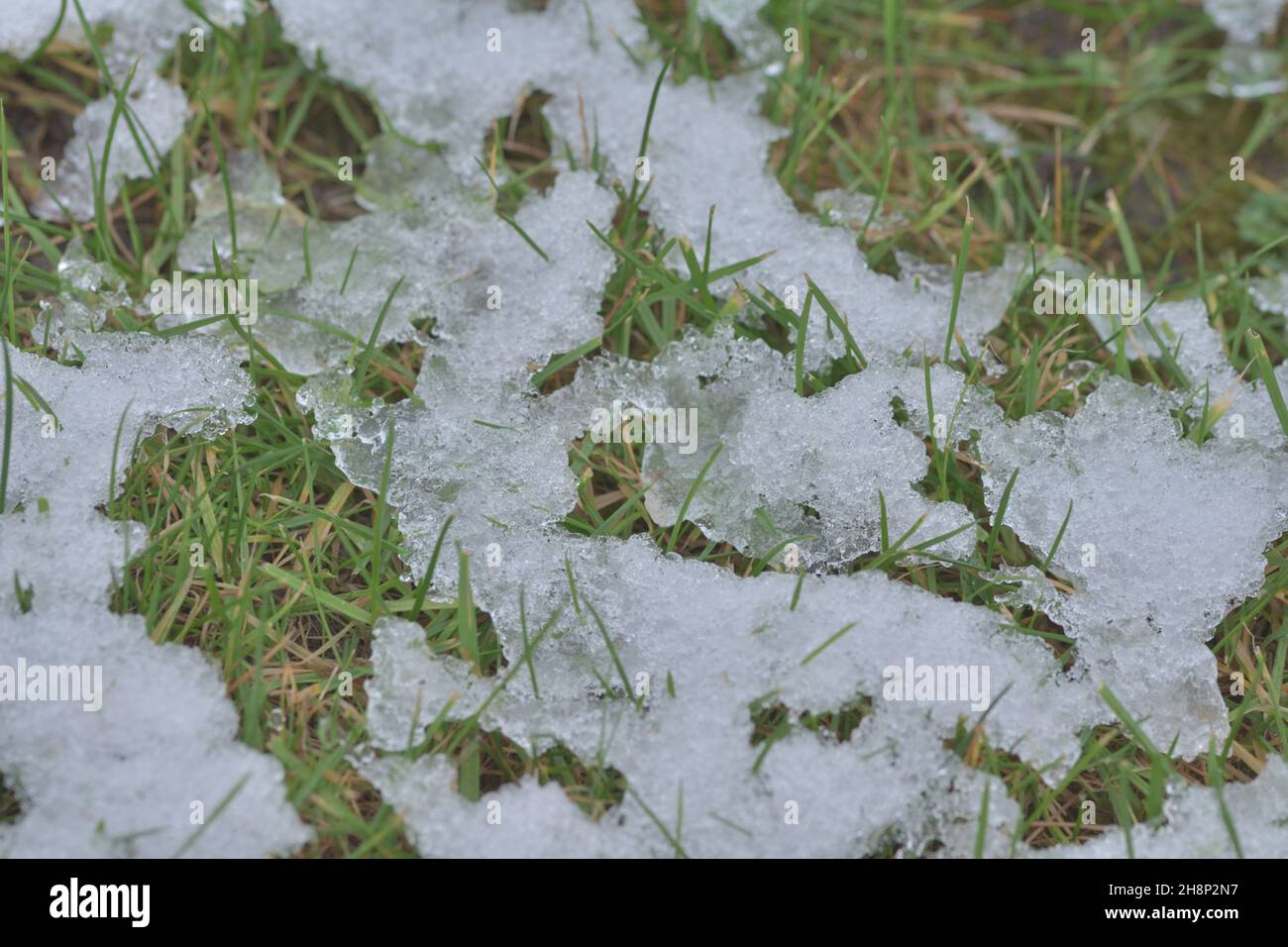 Layers of frosty grass hi-res stock photography and images - Alamy