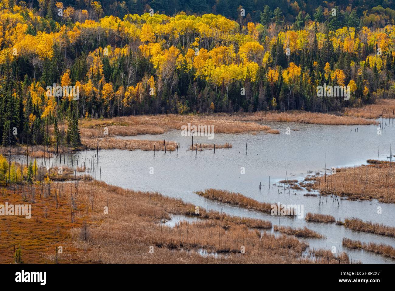Onaping Area Mines/Mill Tailings Management System- Fecunis Reservoir ...