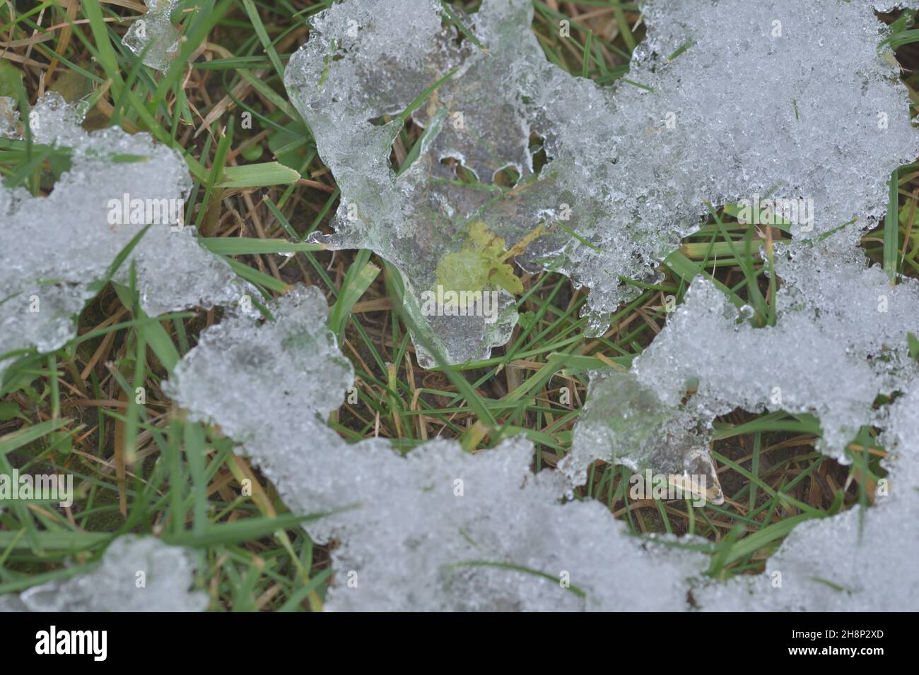 Layers of frosty grass hi-res stock photography and images - Alamy