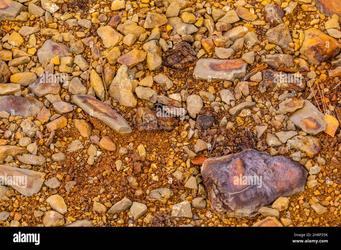 Onaping Area Mines/Mill Tailings Management System- Mineral stained ...