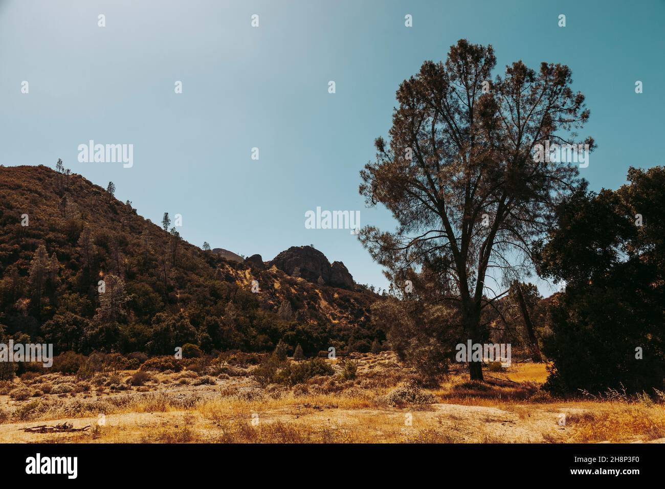 Nature in the western. California; USA Stock Photo - Alamy