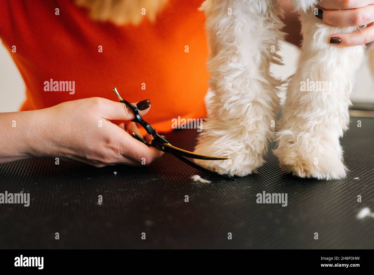 Cutting foot hi-res stock photography and images - Alamy