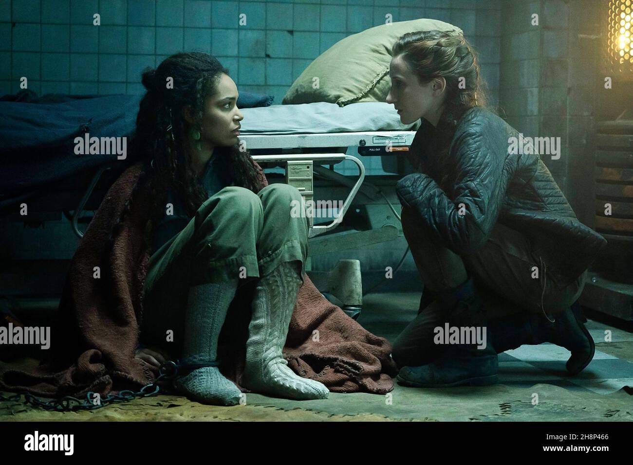 The Future Human Race