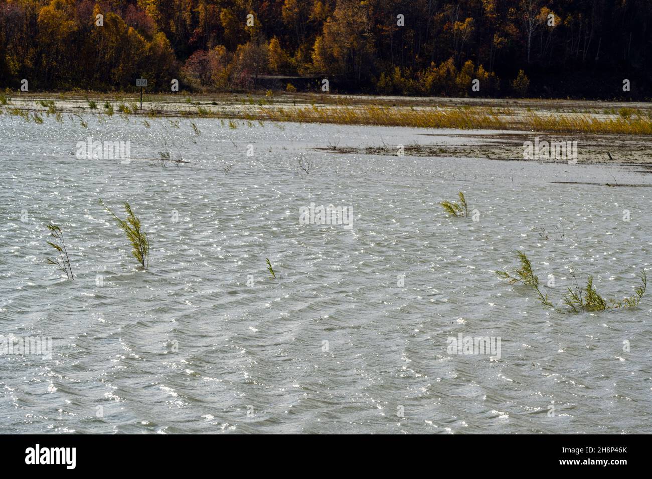 Onaping Area Mines/Mill Tailings Management System- Strathcona Tailings ...