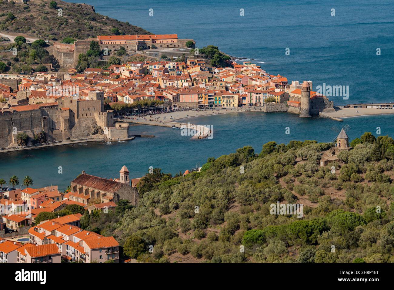 The amazing aerial view over Collioure from Fort Saint Elme surrounded by vineyards, Vermeille ...