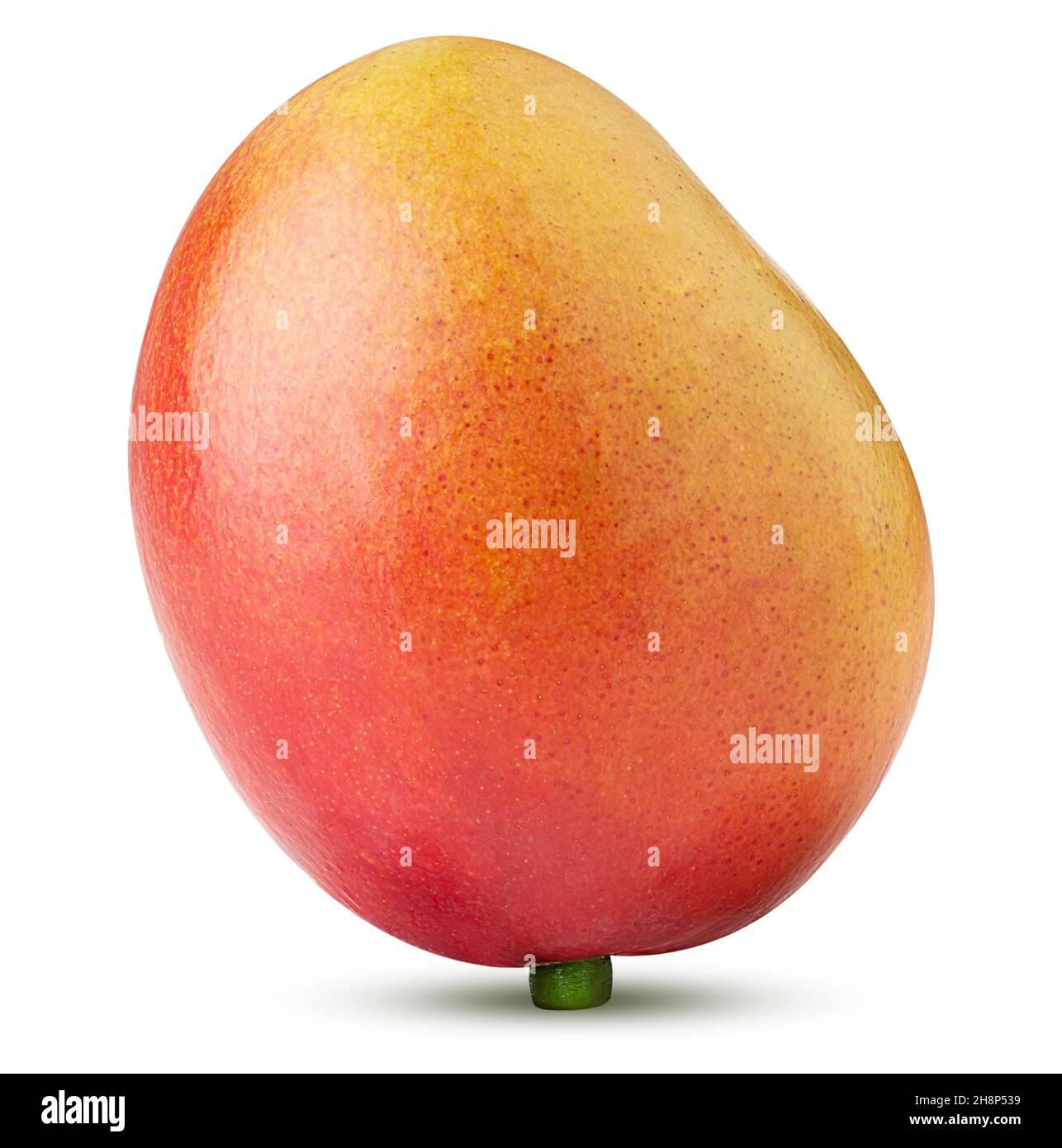 Mango exotic friut isolated on white background. Clipping Path. Full ...