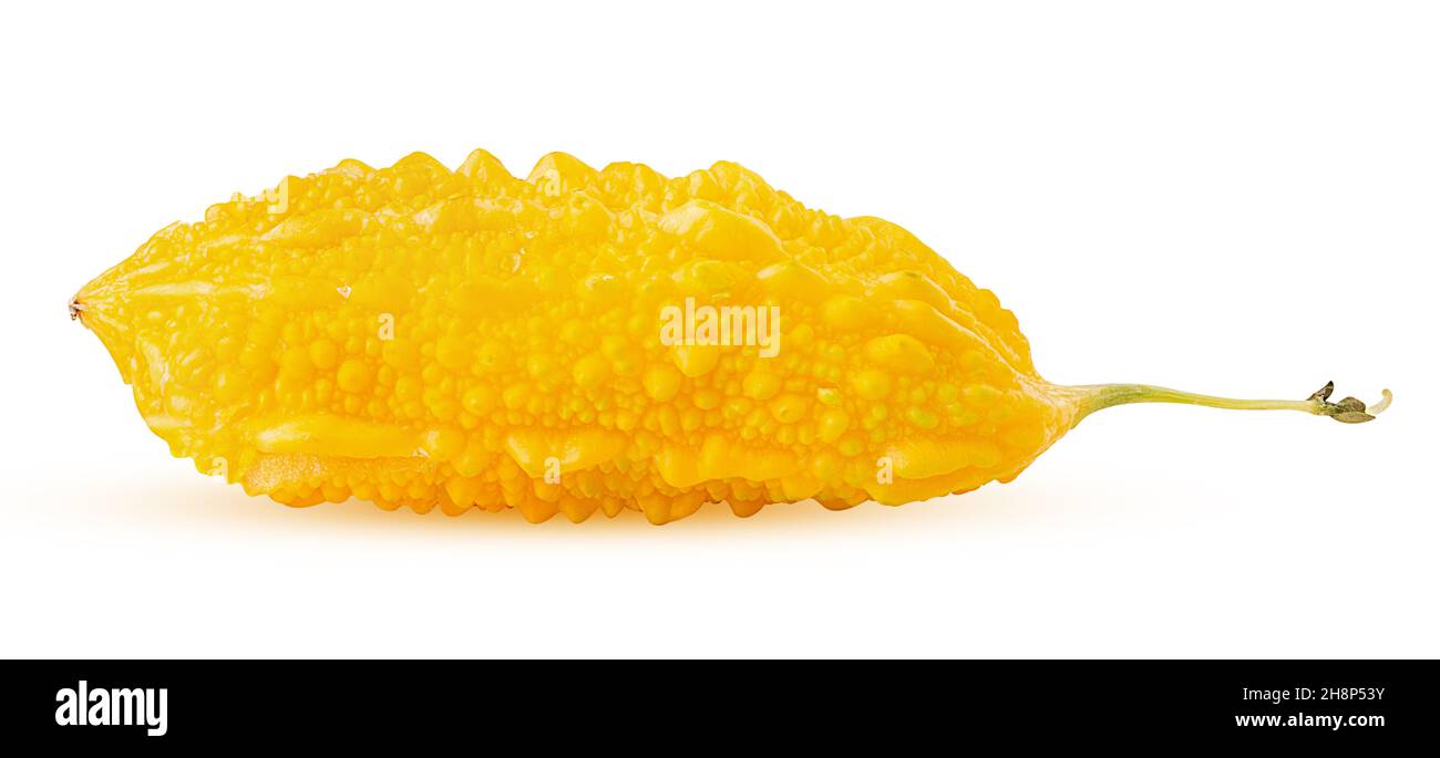 Momordica fruit isolated on white background. Clipping Path. Full depth ...
