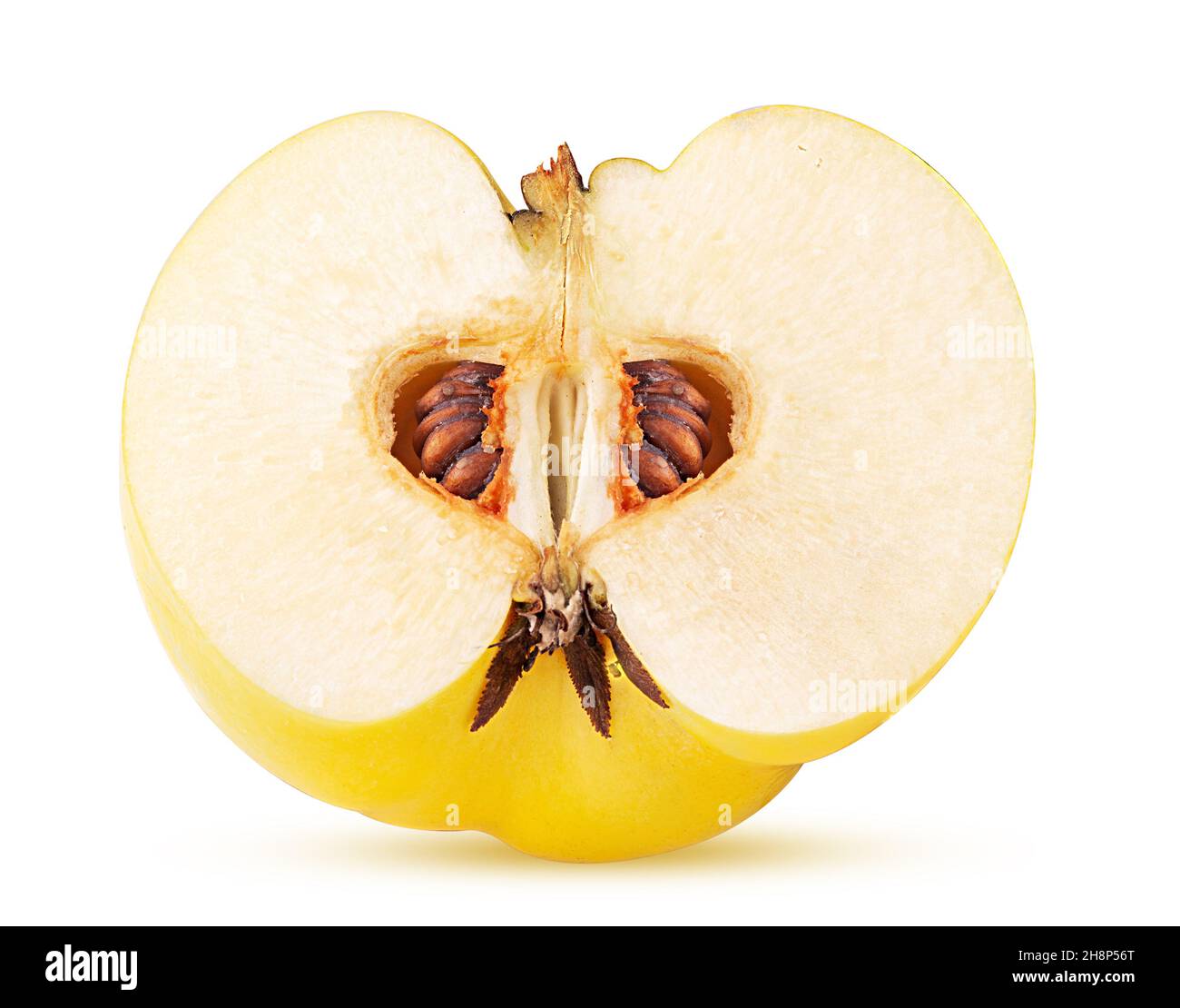 Fresh quince fruit cut in half isolated on white background. Clipping ...