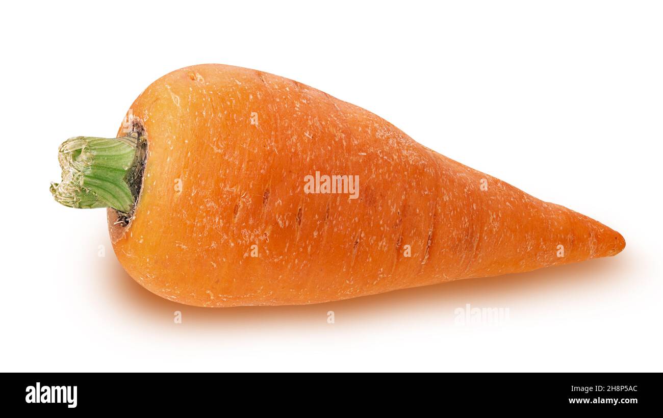 Fresh clean carrot isolated on white background. Clipping Path. Full ...