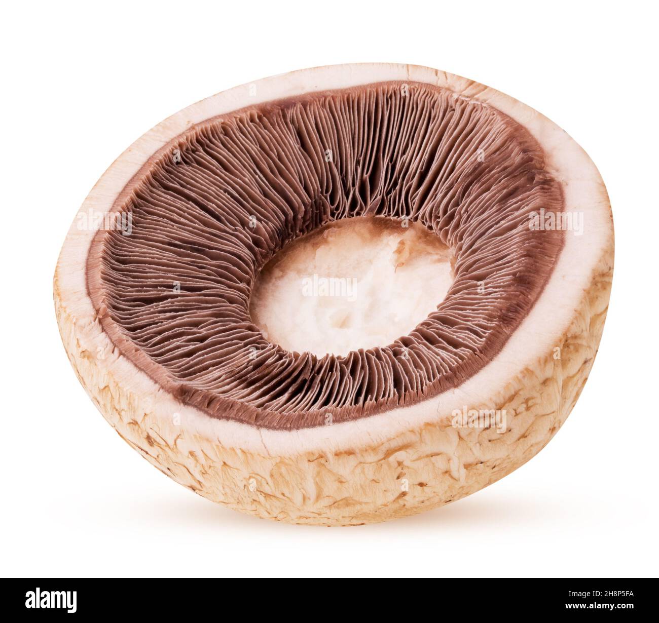 Mushroom champignon cut in half isolated on white background. Clipping ...
